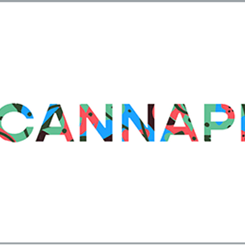 Cannapi Dispensary - Brockton, MA Dispensaries | Cannapages