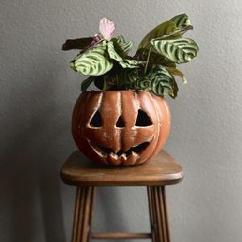 Orbit Vape - San Diego, CA Vape Shops | Cannapages